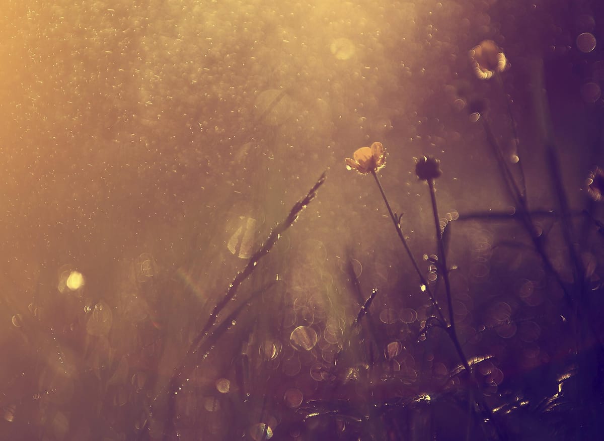 Everything Must Change — Why I am Leaving Substack